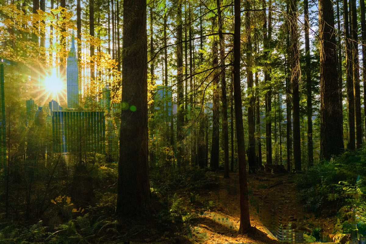 Invisible Cities – Dreszer Photography