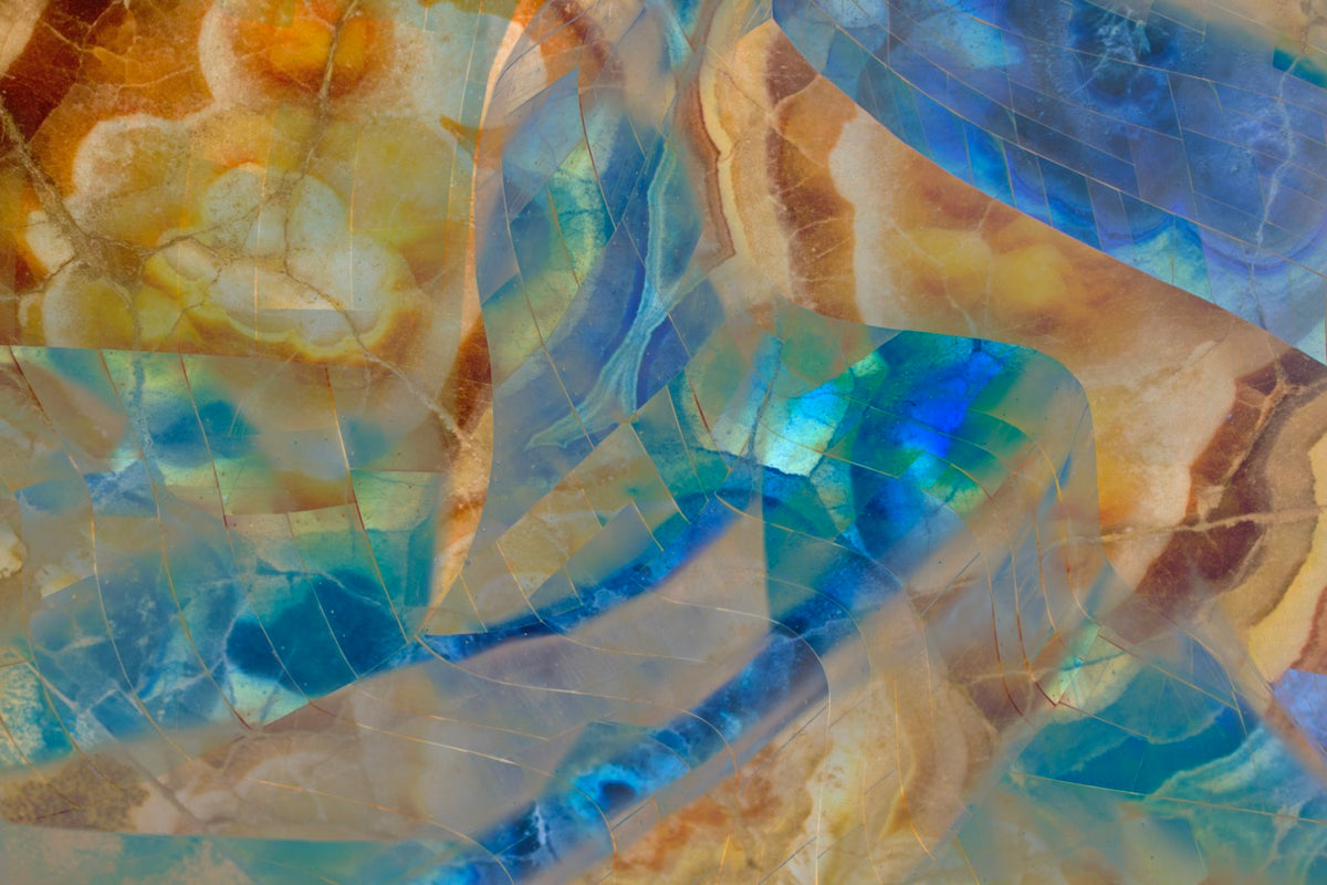 Between Brush and Lens – Dreszer Photography